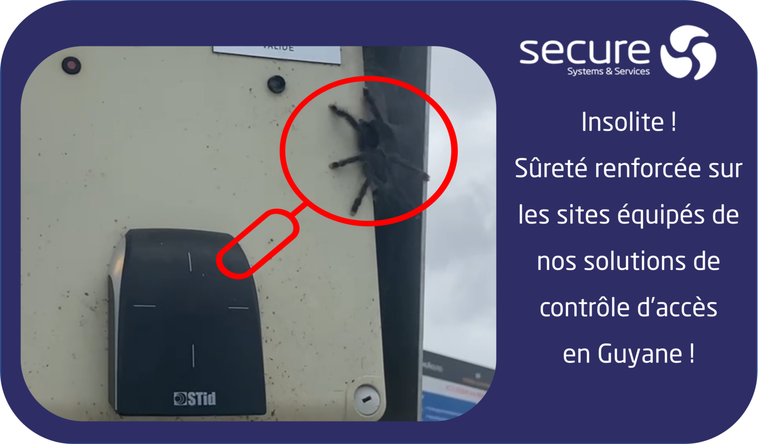 Insolite : une force un peu spéciale contributrice de nos solutions de sûreté déployées en ...